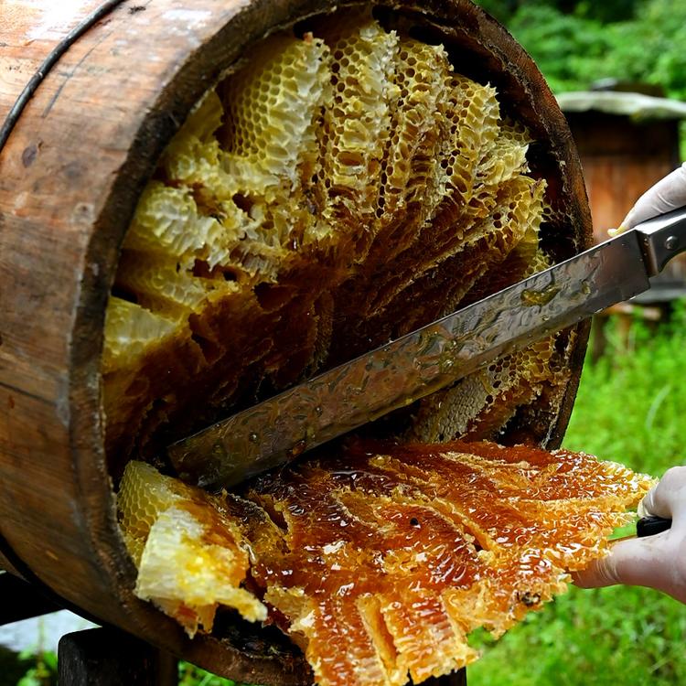 抖音湘西苗二姐 2023-05-24|苗寨生活 做饭了|直播数据与分析报告 - 蝉妈妈数据