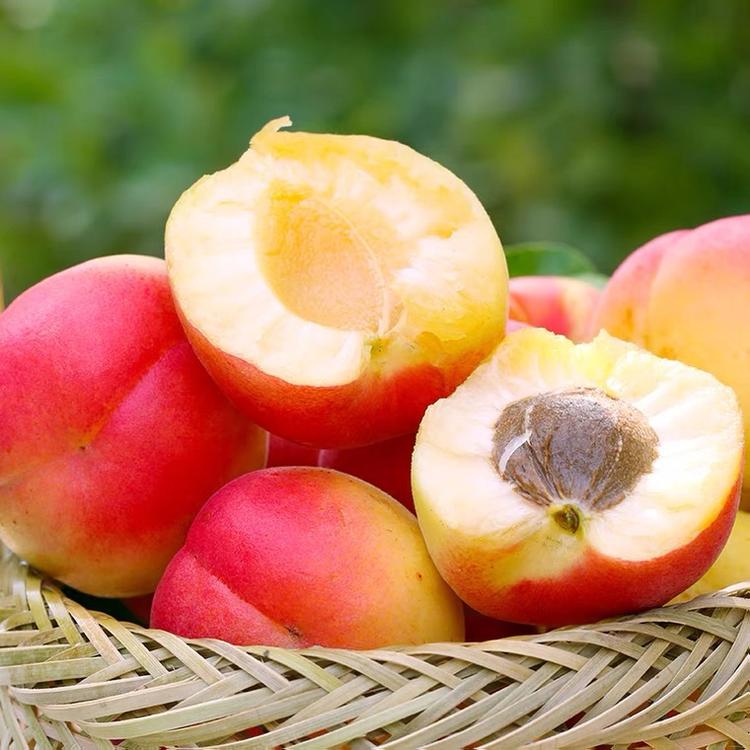 抖音满堂鲜水果 2021-05-15|正在直播|直播数据与分析报告 - 蝉妈妈数据